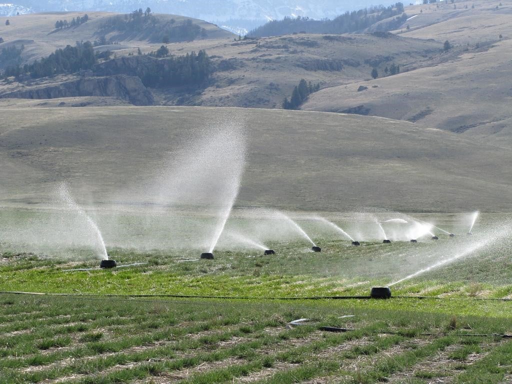 Cultivating a More Efficient Irrigation System